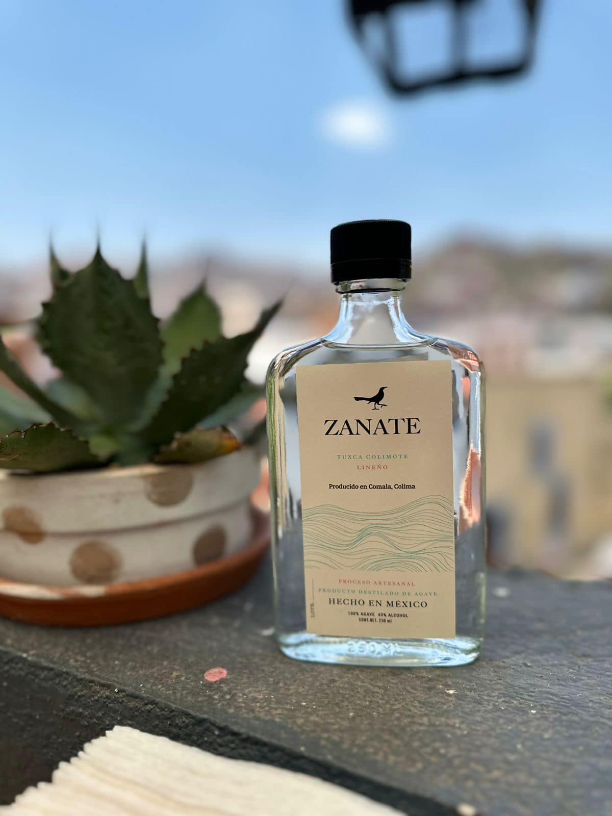 Sabores ocultos de Colima, la magia del mezcal en el tiempo